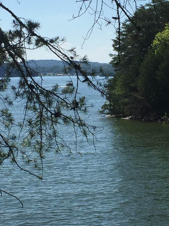 Contact – Rebecca Trump